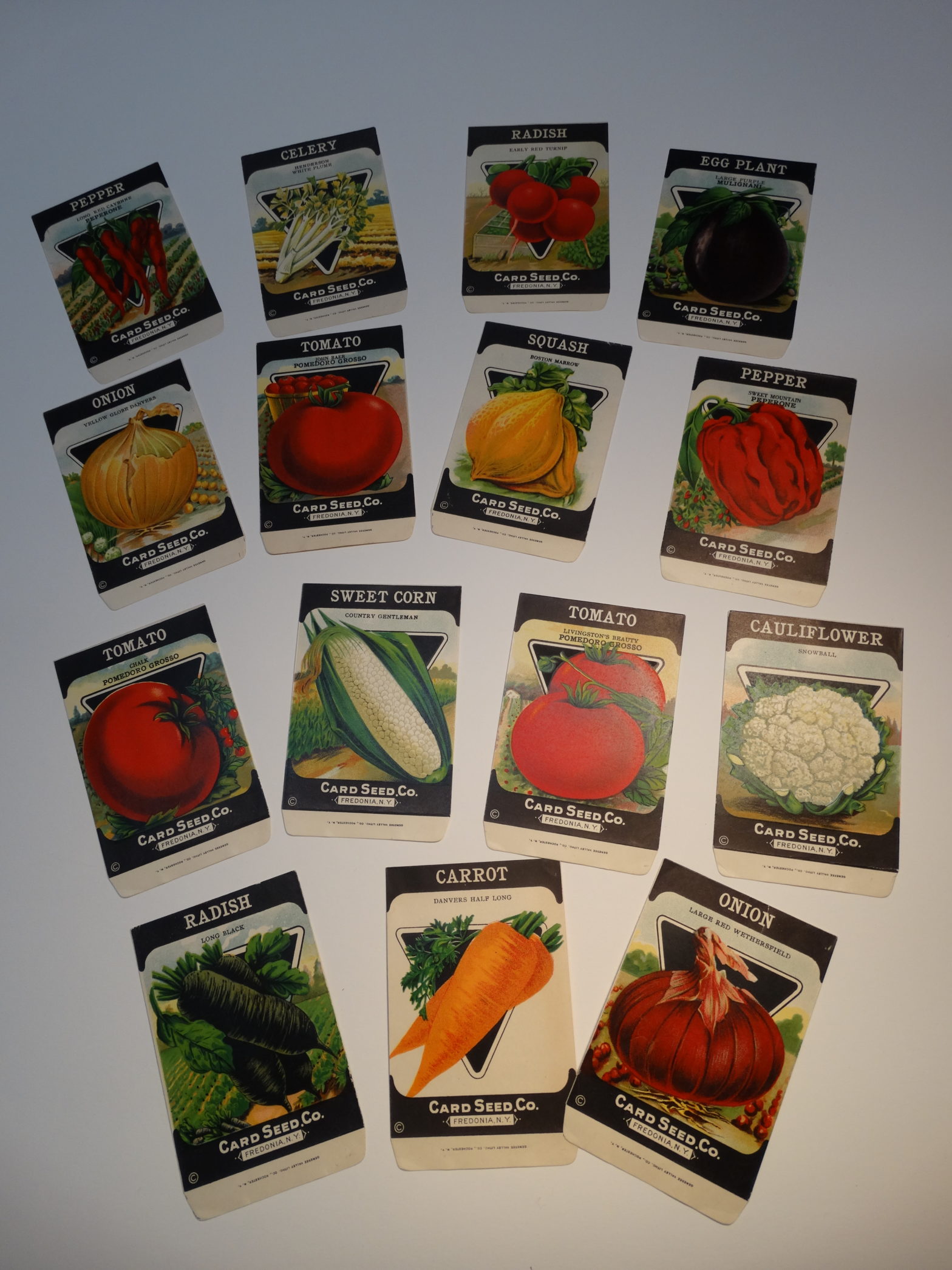 15 Antique Gardening Lithographs | Antique Lithographs & Engravings