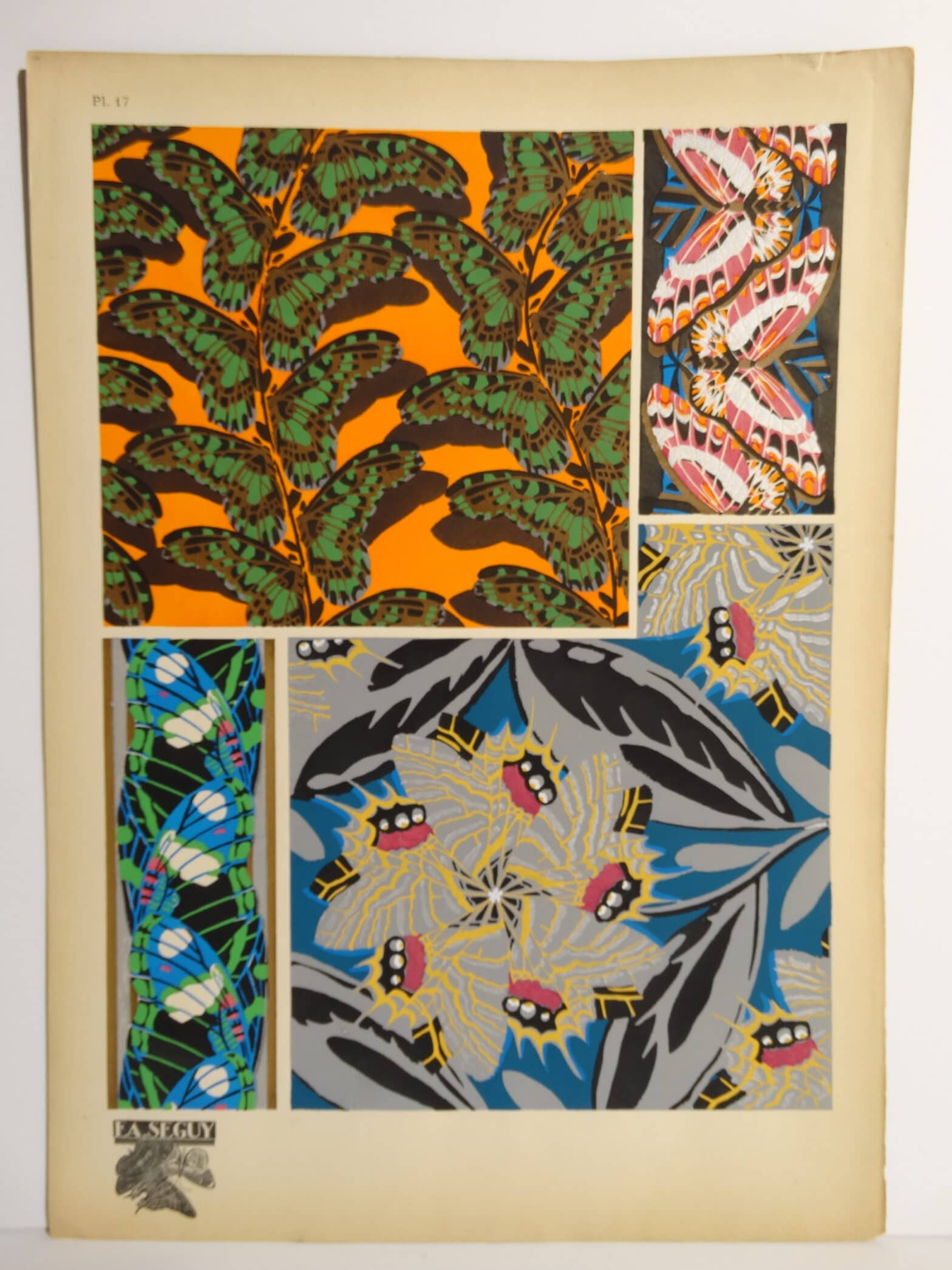 Seguy Butterflies Pochoir PL17 | Sourced from Emile Alain's Papillons