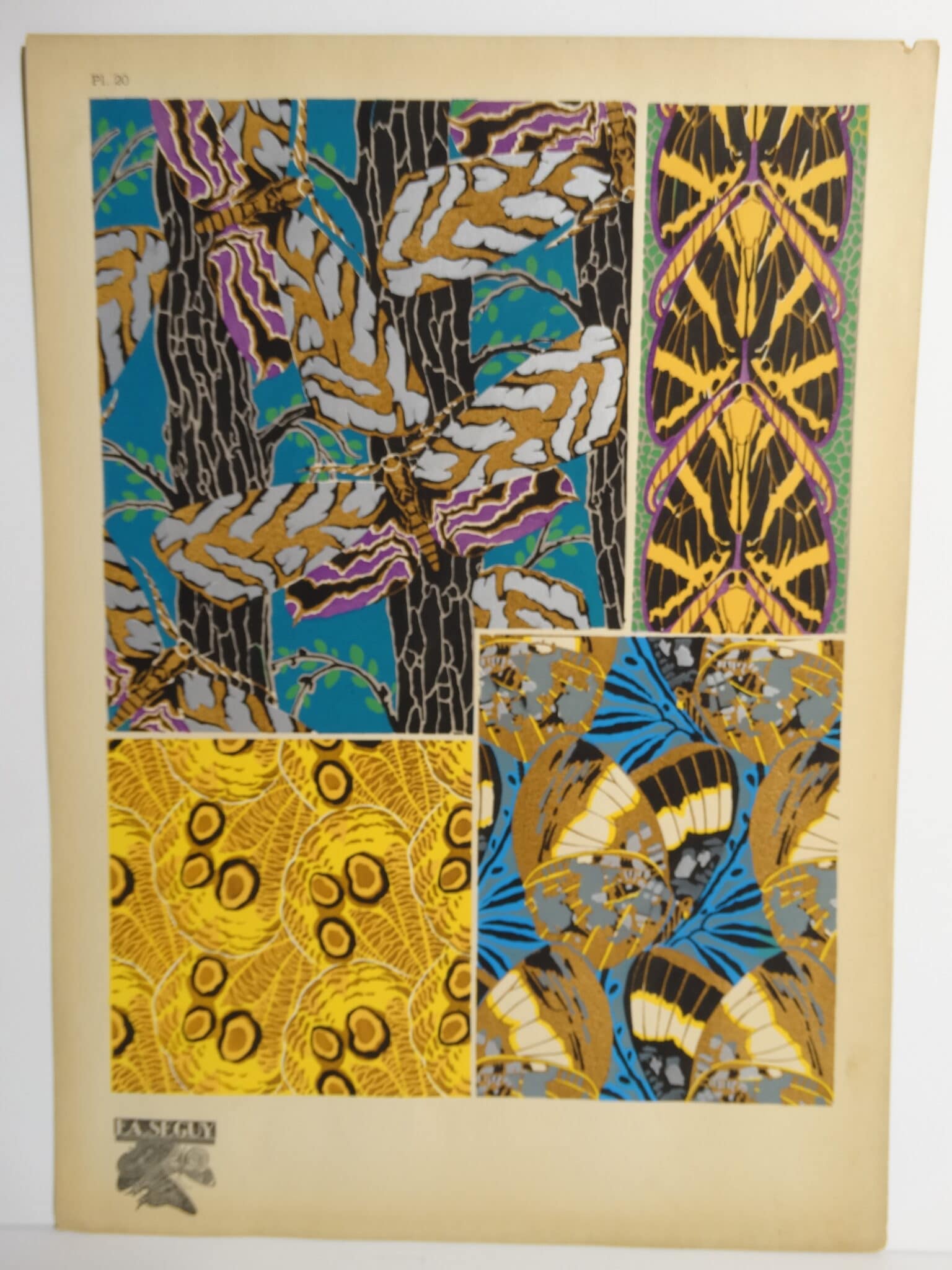 Seguy Pochoir Butterflies PL20 | Antique Lithographs & Engravings