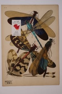 Seguy Insectes Papillons: Pochoir Butterflies, E.A. Seguy Bugs